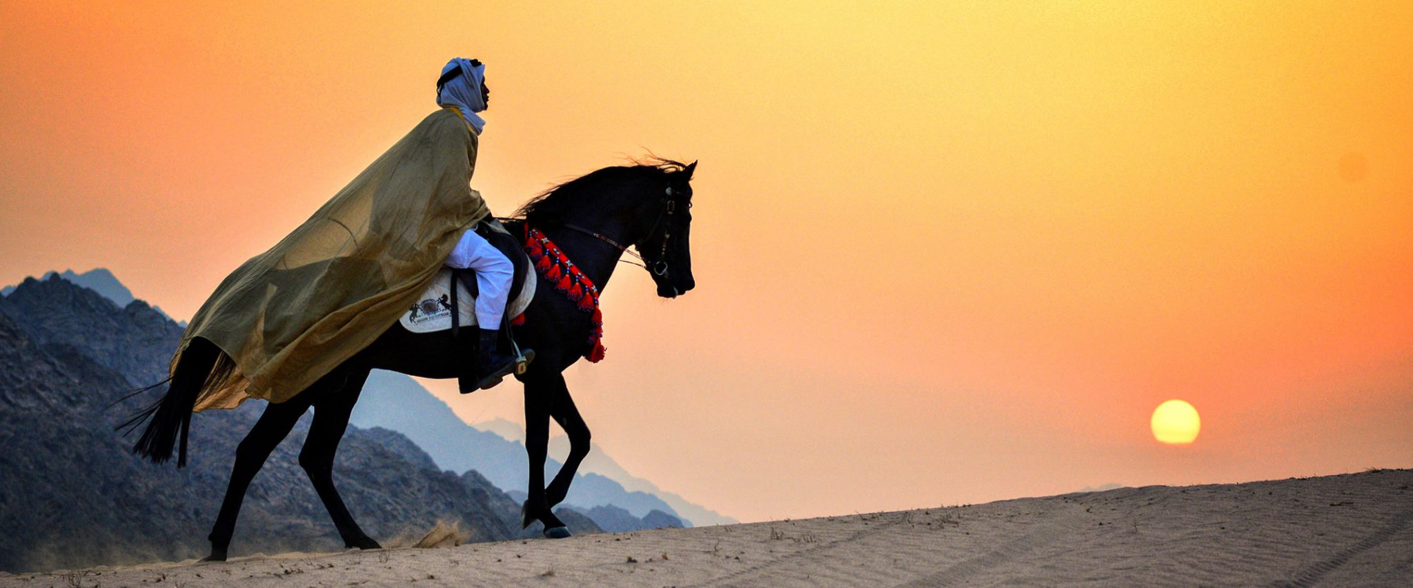 Ride Egypt - Horse Riding in Luxor, Hurghada, Cairo and Sharm