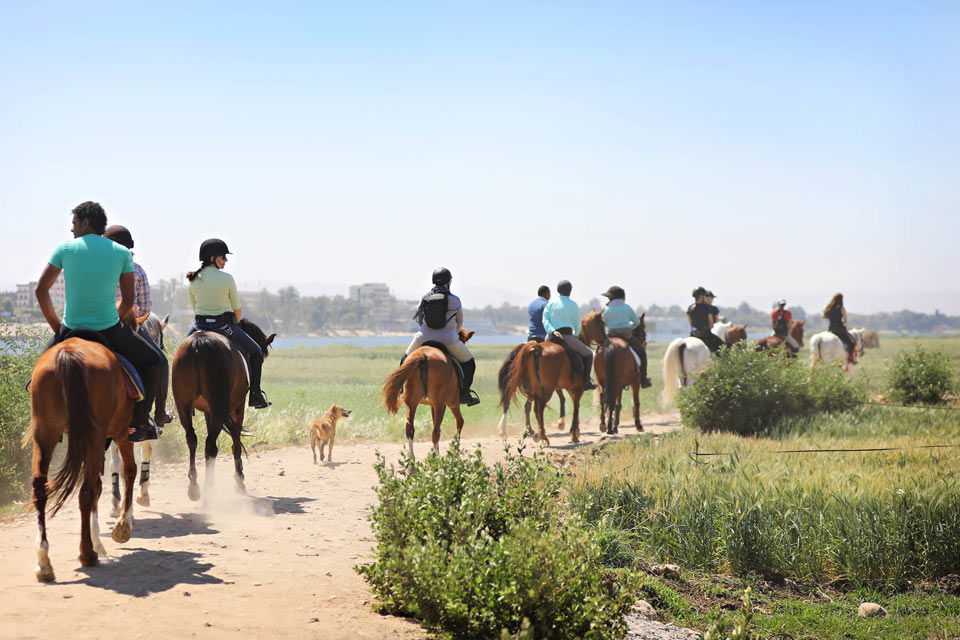 Ride Egypt - Ride Egypt