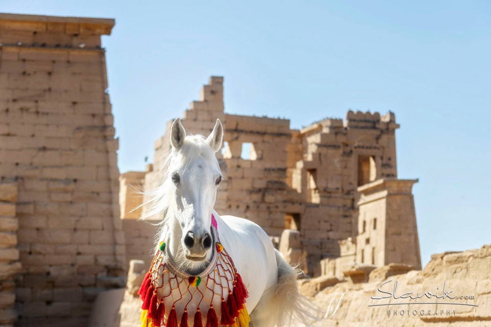 Ride Egypt - Ride Egypt