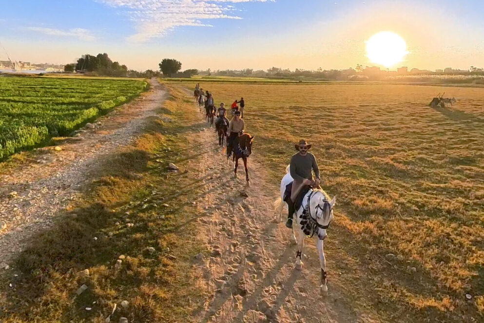 Snapshot_20240243_190200 - Ride Egypt